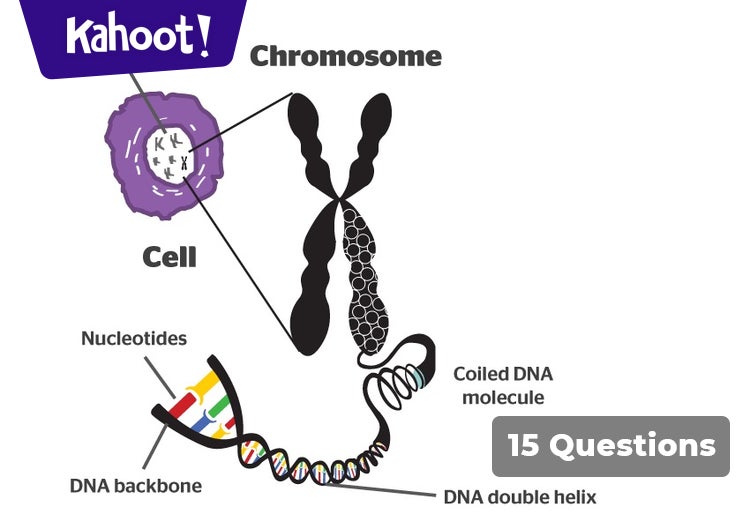 10: Genetics - Kahoot! Quiz