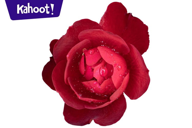 Symbolism and Motifs as Literary Devices - Kahoot! Quiz