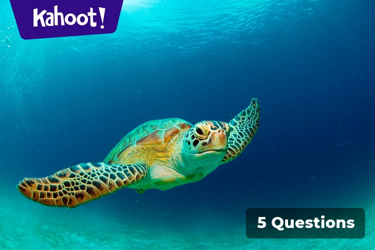 Animals in Ocean - Kahoot! Quiz