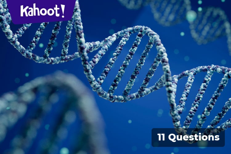 DNA Structure and Gene Function - Kahoot! Quiz