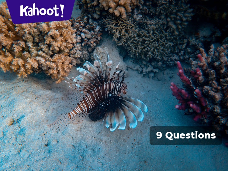 Marine Habitats Game - Kahoot! Quiz