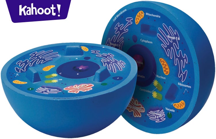 Bio: Category 1 Cell Structure & Function - Kahoot! Quiz