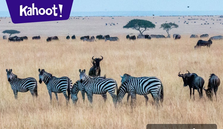 Ecology: Maintaining Biodiversity & Ecosystems - Kahoot! Quiz