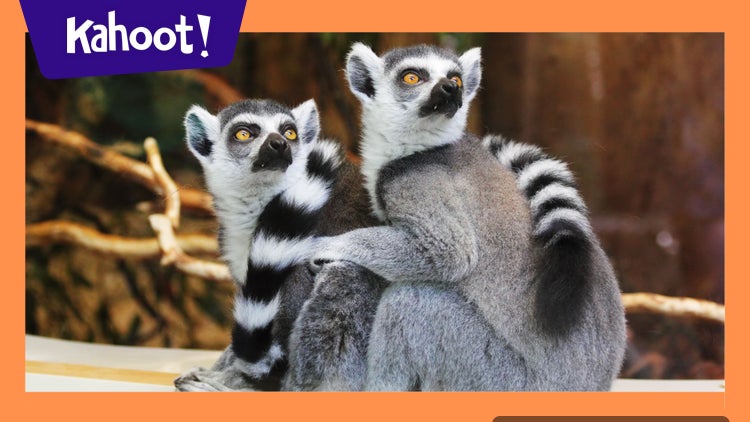 Amazing Animal Trivia - Kahoot! Quiz