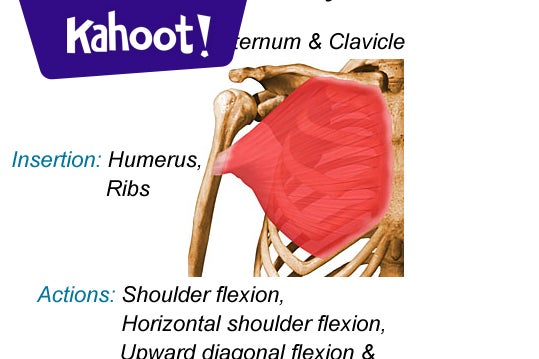 Anatomy Semester 1 MIDTERM exam - Kahoot! Quiz