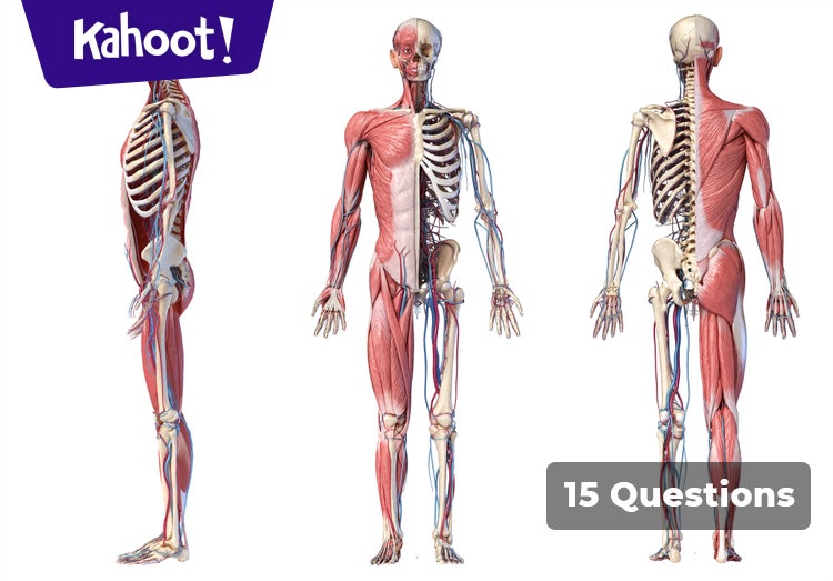Skeletal and Muscular system grade 5 - Kahoot! Quiz