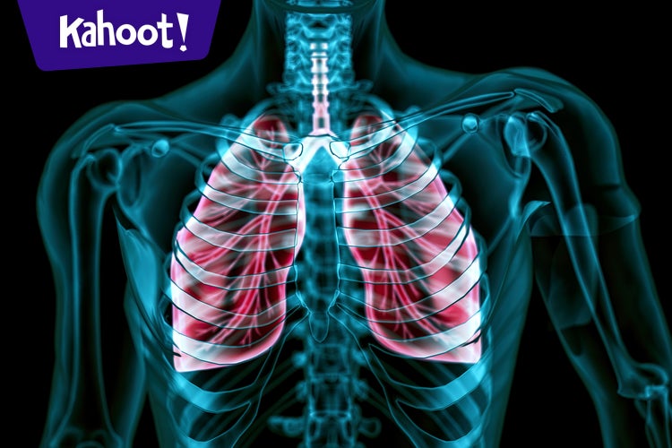 Mastering Anatomical Directions and Spatial Relationships - Kahoot! Quiz