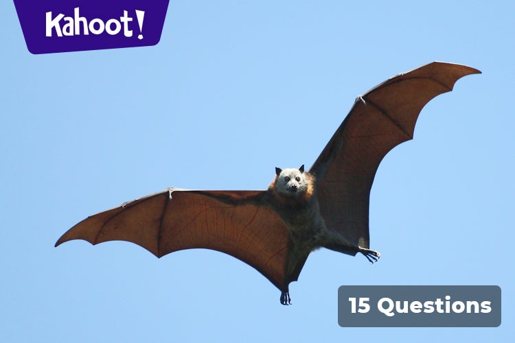 Animals - Kahoot! Quiz