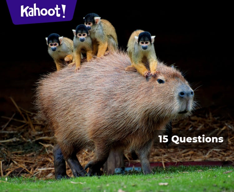 Population Ecology - Kahoot! Quiz