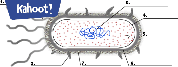 Lesson 1.2 Bacterial Structure and Antibiotics - Kahoot! Quiz