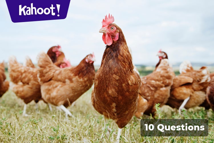 Scientists say the egg came before the chicken. QUIZ - Kahoot! Quiz