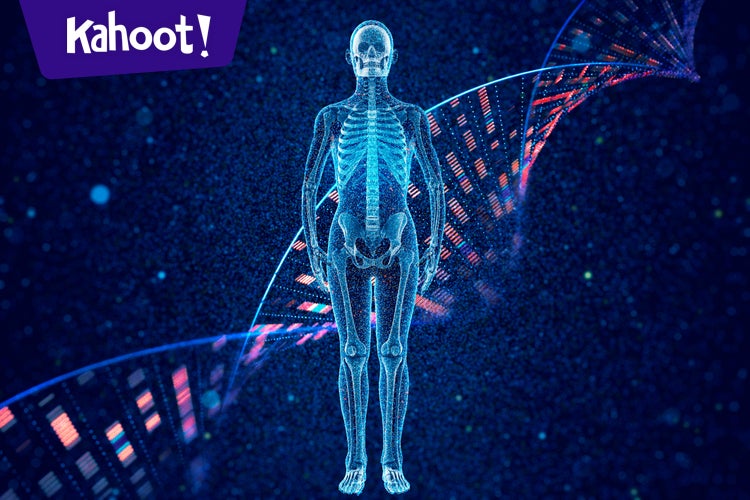 Exploring the Brain - Kahoot! Quiz