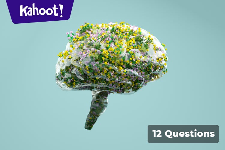L53-Hot snake - Kahoot! Quiz