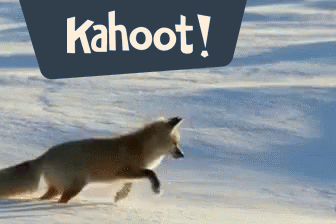 fox - Kahoot! Quiz