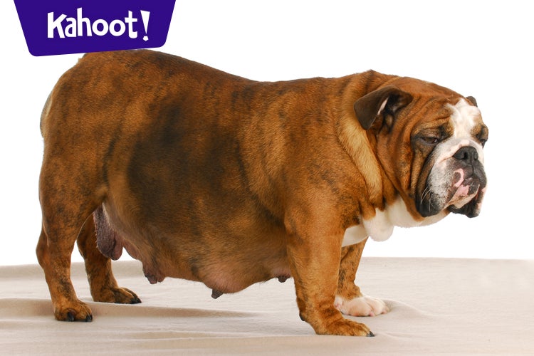 High risk pregnancy - Kahoot! Quiz