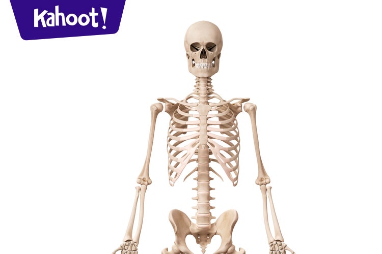 Esthetics Anatomy PT 1 - Kahoot! Quiz