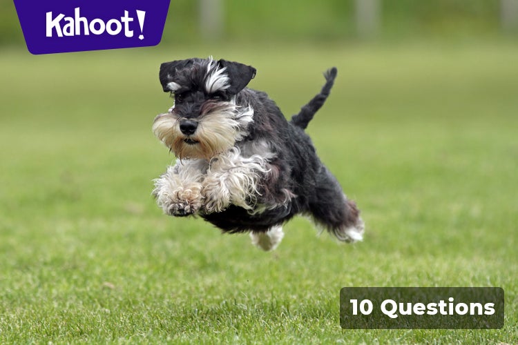 The Dog Newspaper - Comprehension (Journeys Grade 5 Lesson 18) - Kahoot ...