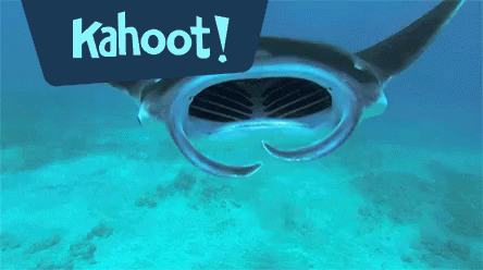Duplicate of Gr 10 Marine Bio Fish Functional Groups - Kahoot! Quiz