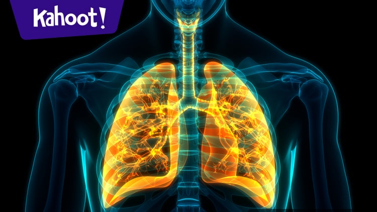Respiratory system STD VIIIC - Kahoot! Quiz