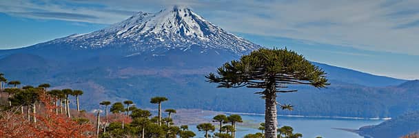 Fall for Chile - Kahoot! Quiz