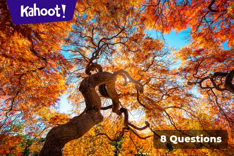 SAVVAS U5W4 - My Autumn Book - Kahoot! Quiz