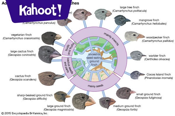 Speciation: isolation mechanisms - Kahoot! Quiz