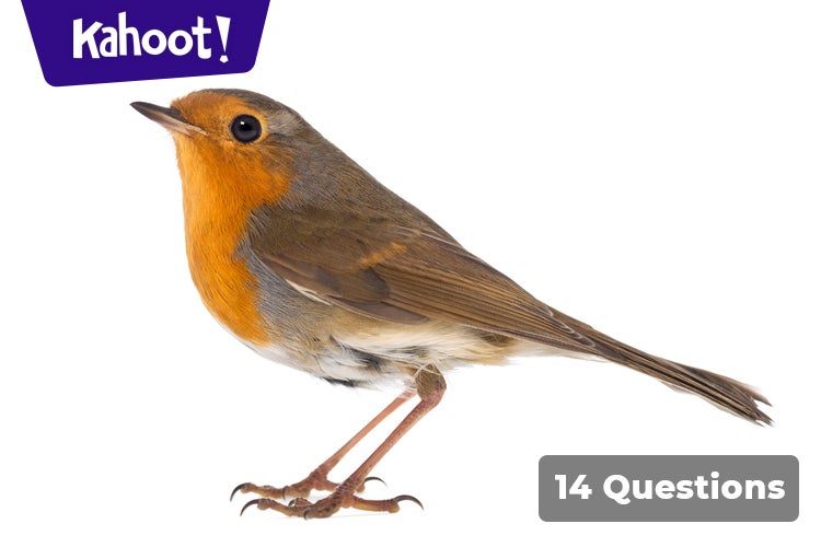 SA Sort 21: Unaccented Final Syllable (-en, -on, -in, -ain). - Kahoot! Quiz