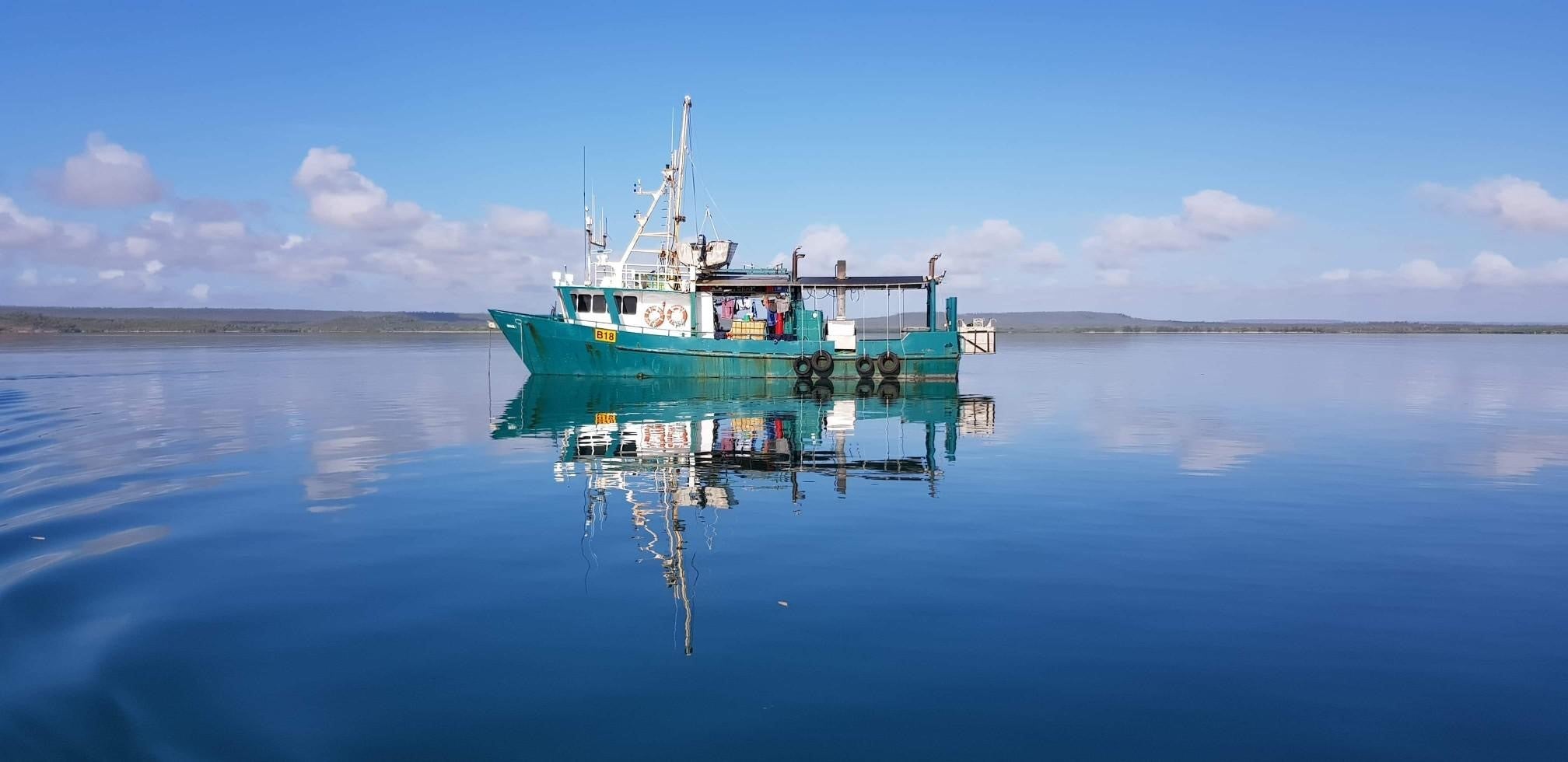 Using the Oceans Resources Responsibly - Geography, Stage 5 - Kahoot! Quiz