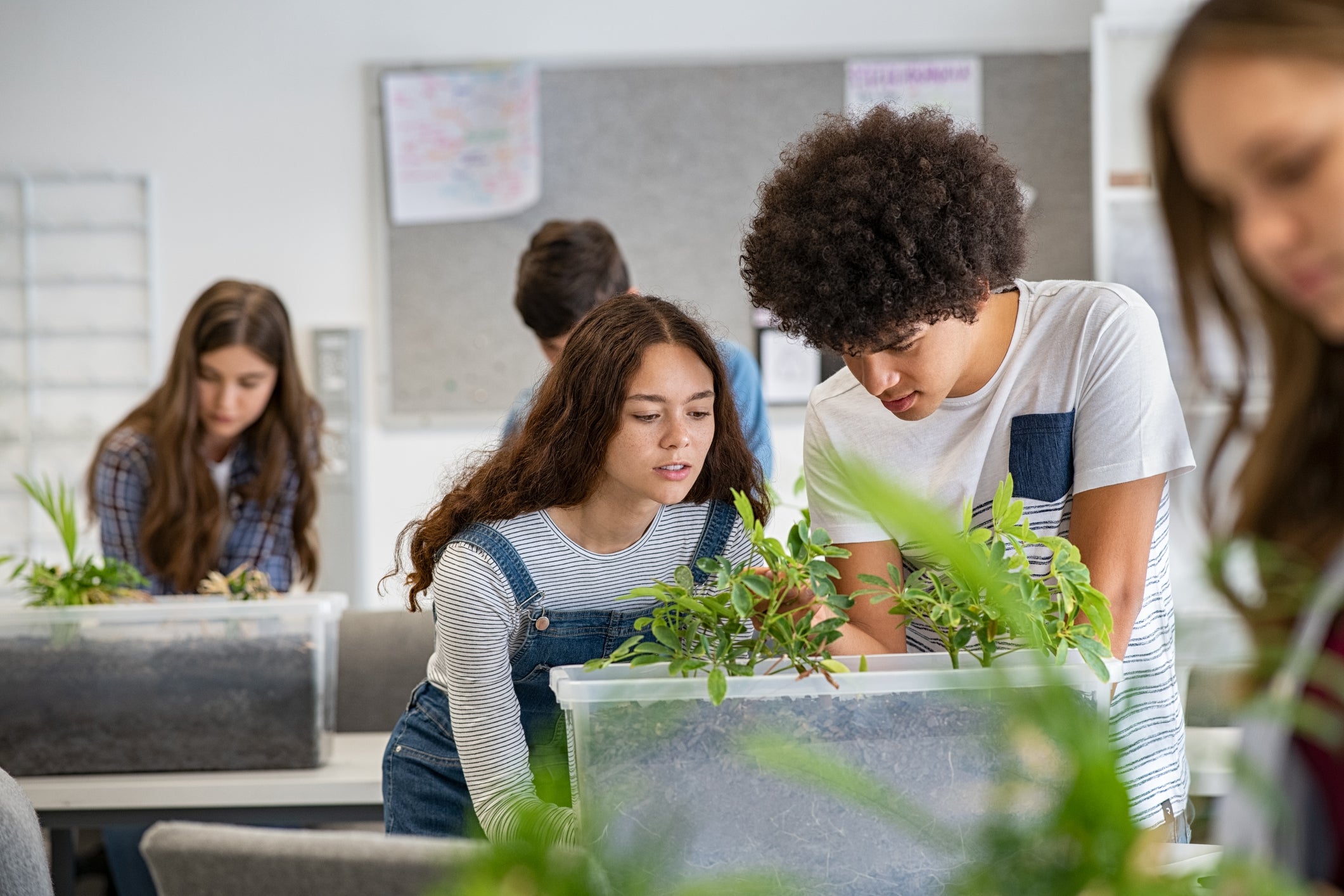 Types of ecosystems - Kahoot! Quiz