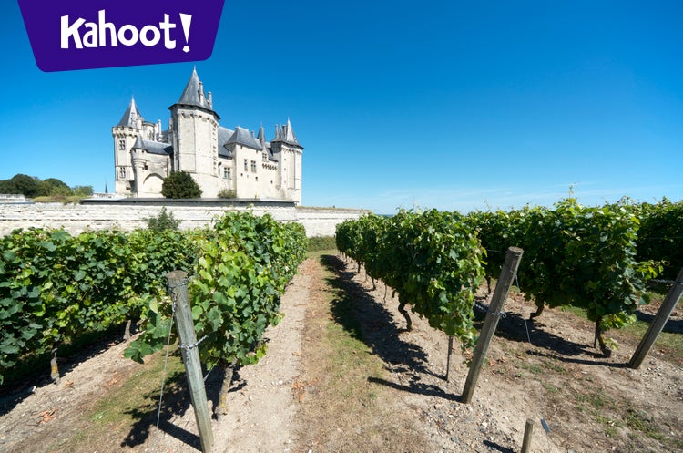 French in Action leçon 47 questions - Kahoot! Quiz