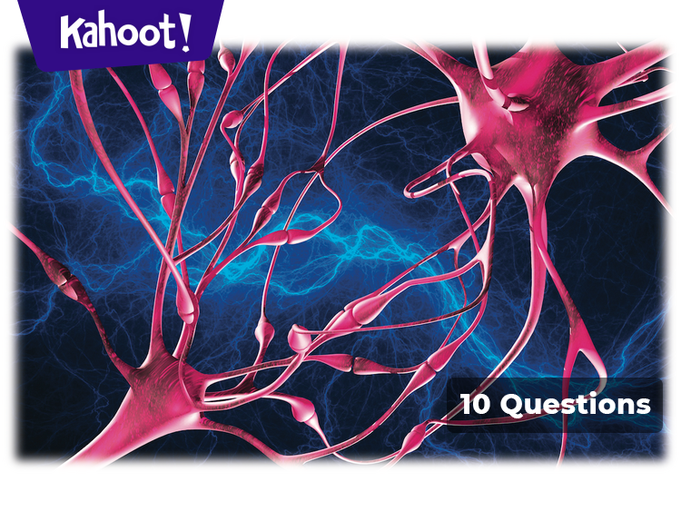 Making Connections Level 2 Unit 6: The Brain and Behavior Reading 1 ...