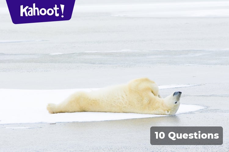 Verb BE - Affirmative - Kahoot! Quiz