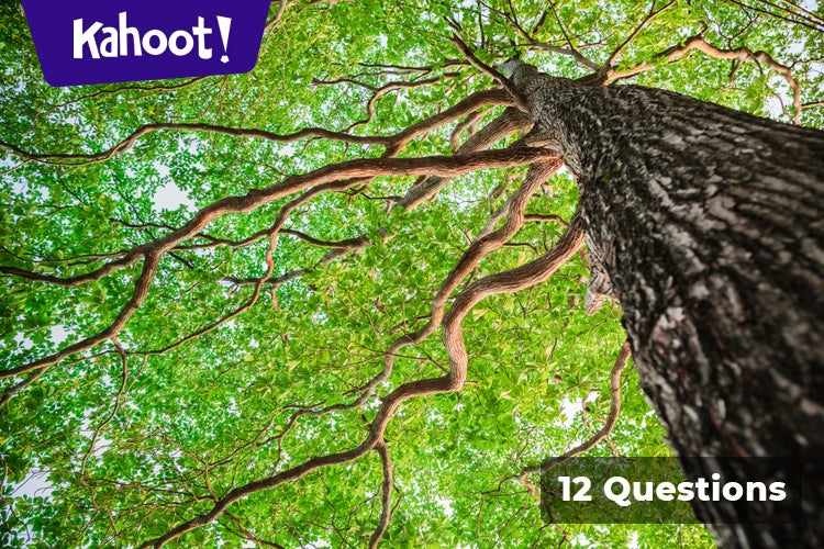 Plant Structures and Functions - Kahoot! Quiz