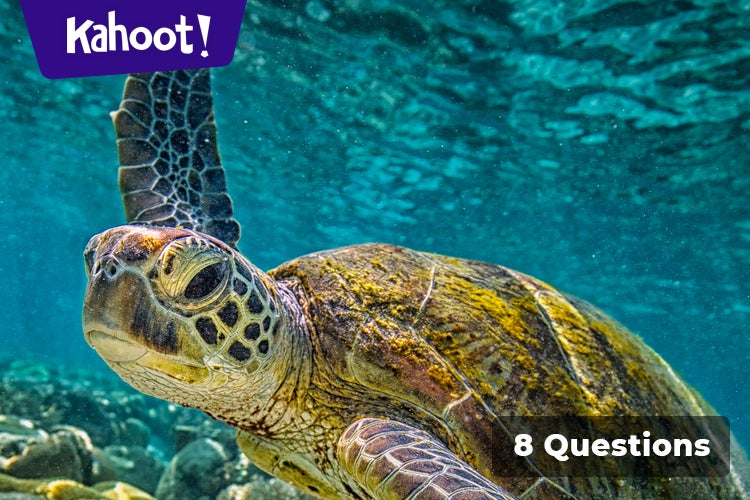 Sustainable Fishing - Key Terms (Beginner) - Kahoot! Quiz