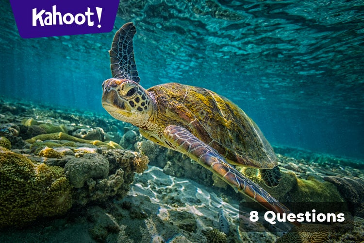 Sustainable Fishing - Key Terms (Beginner) - Kahoot! Quiz