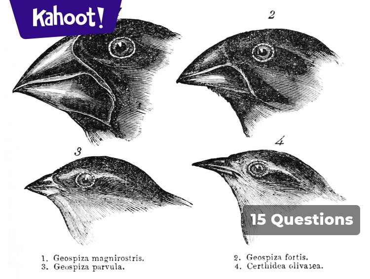 Evolution Of Populations Kahoot Quiz