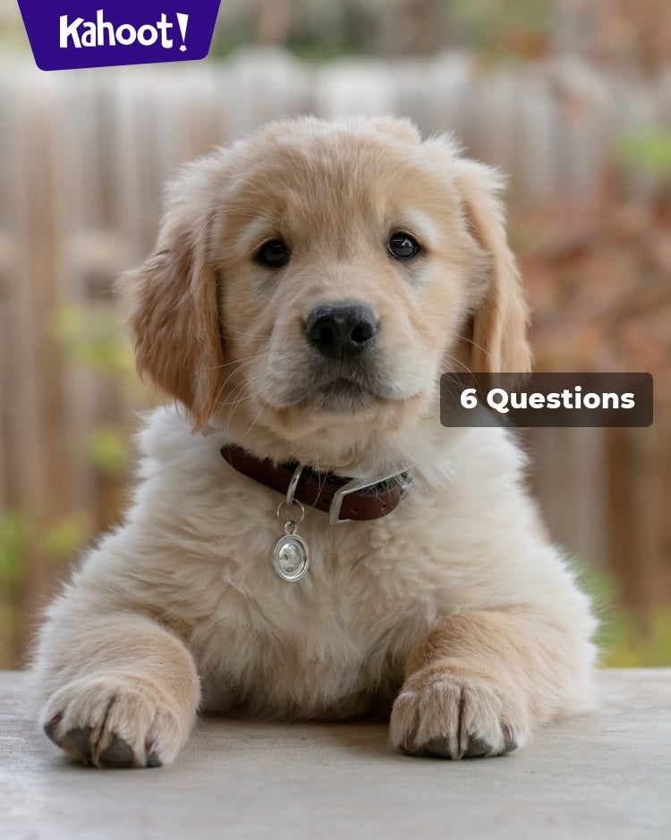 Baby Animals - Kahoot! Quiz