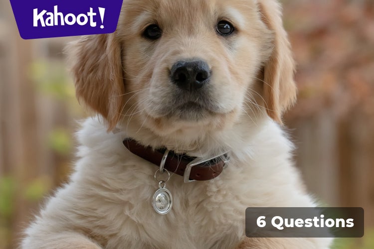 Baby Animals - Kahoot! Quiz