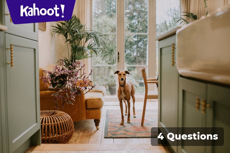 sample - Kahoot! Quiz