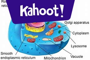 Biology Unit 1: Cell Structure and Transport Review - Kahoot! Quiz