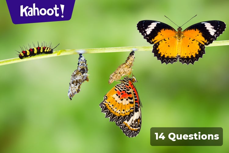 2A - Life Cycles of Animals - Kahoot! Quiz