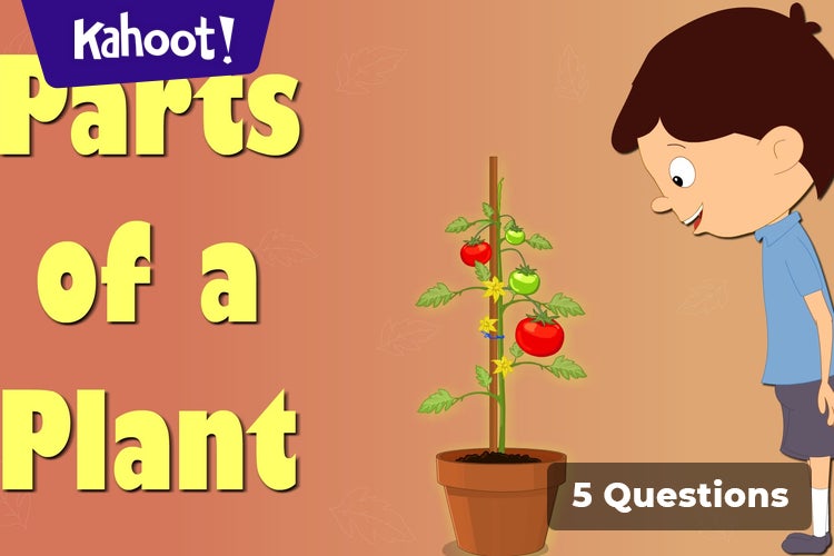 Parts of a Plant - Kahoot! Quiz