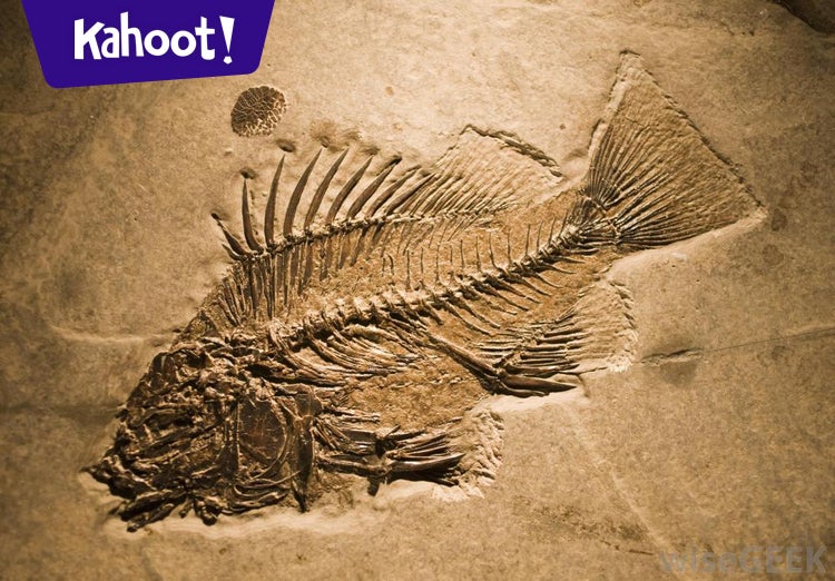 Fossil Record - Kahoot! Quiz