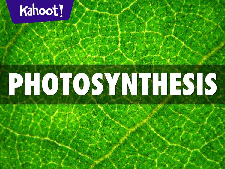 GCSE Photosynthesis Revision - Kahoot! Quiz