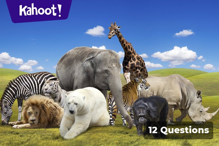 Animal Facts - Kahoot! Quiz