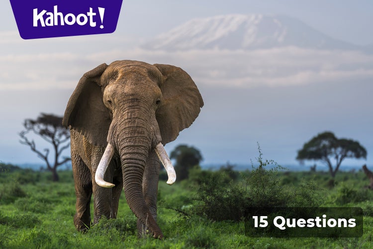 3 - Surprising animals - Kahoot! Quiz
