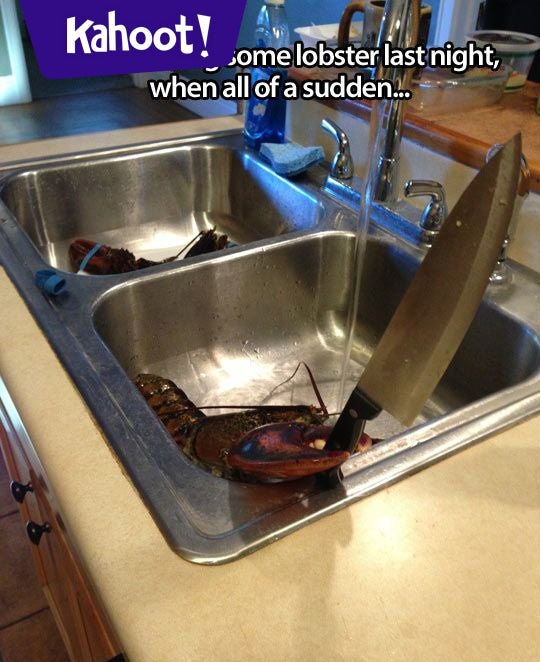 Marine Invertebrates - Kahoot! Quiz