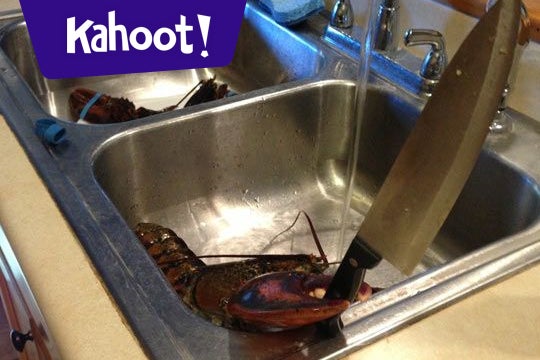 Marine Invertebrates - Kahoot! Quiz