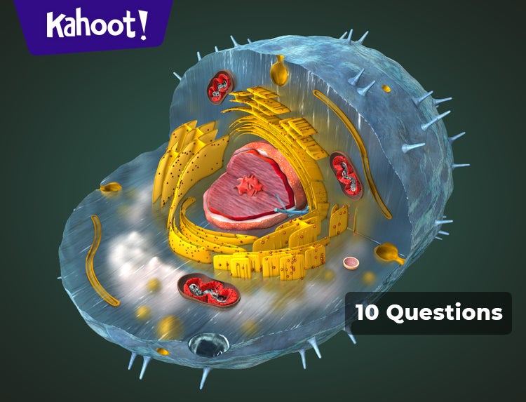 Cell Structures & Functions (SI7) - Kahoot! Quiz