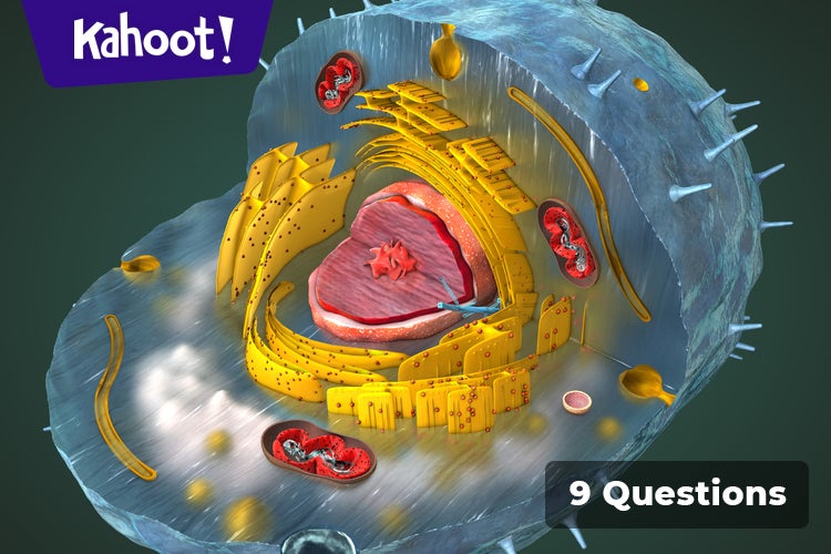 Science Review - Kahoot! Quiz